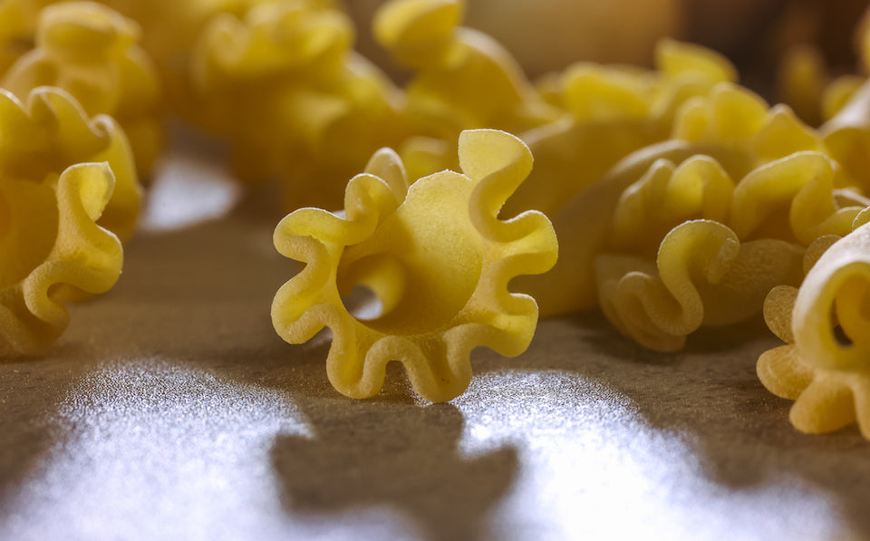 Flour + Water, The Source for Great Pasta – Flour + Water Foods