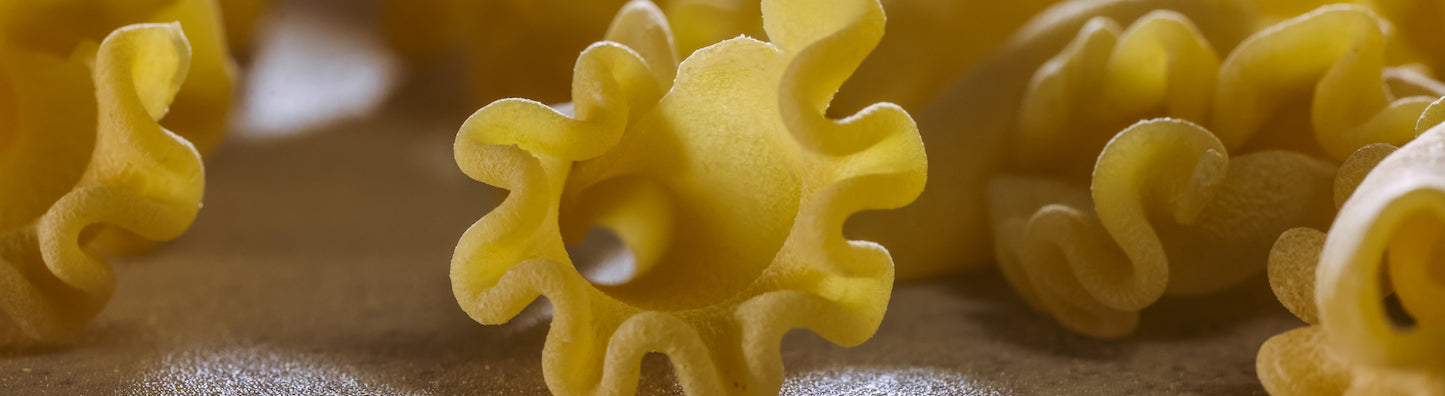 Flour + Water, The Source for Great Pasta – Flour + Water Foods